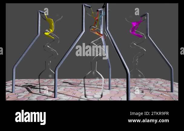 3d simulation of a multiple fluids flowing through three glass tubes ...