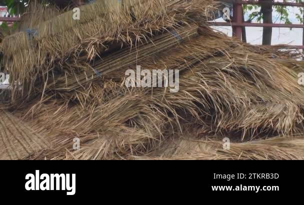 Straw roofs Stock Videos & Footage - HD and 4K Video Clips - Alamy