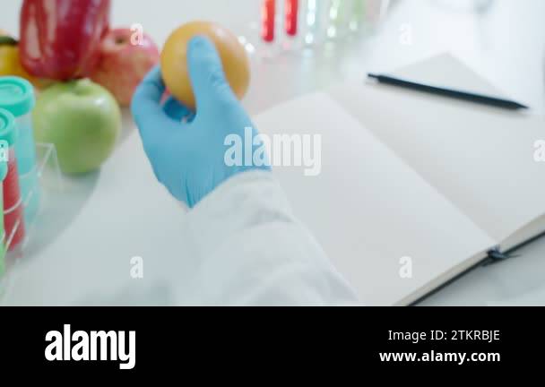 Scientist check chemical fruit residues in laboratory. Control experts ...