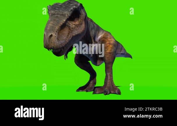 Tyrannosaurus rex Looking on Green Screen Stock Video Footage - Alamy