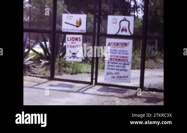 Viserba, Italy june 1975: A historic footage showing people visiting ...