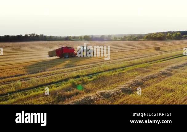Tractor in a fresh cut hay field. Cutting and harvesting of the hay ...