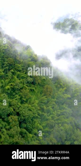 Samoeng Forest Park, a spectacular views of the forest and mountains ...