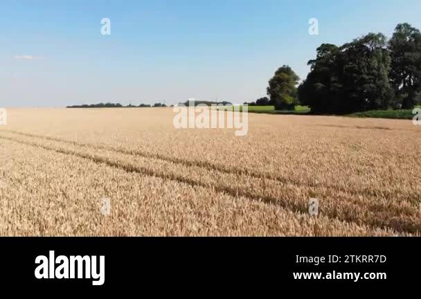 Rural scene in normandy Stock Videos & Footage - HD and 4K Video Clips - Alamy