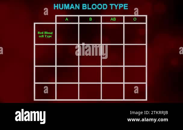 Types of chart Stock Videos & Footage - HD and 4K Video Clips - Alamy