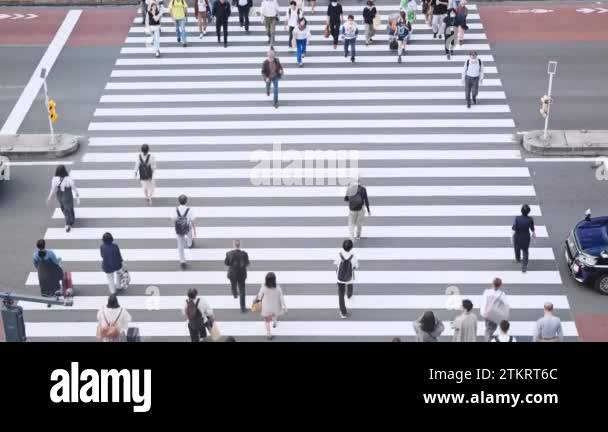 Zebra crossing japan Stock Videos & Footage - HD and 4K Video Clips - Alamy
