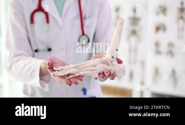 Human lower leg anatomy Stock Videos & Footage - HD and 4K Video Clips ...