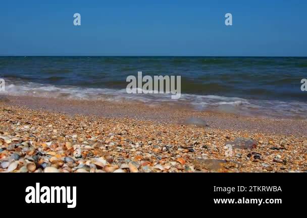 Sea shell beach in sunlight. Shimmering sea wave foams on sand Azov ...