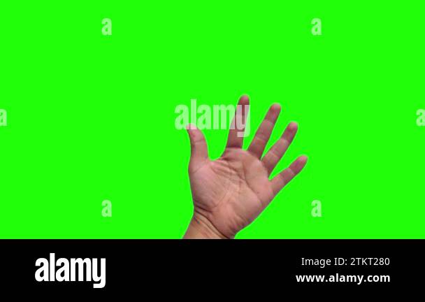 set of photos of animated hands on a green background. See you symbol ...