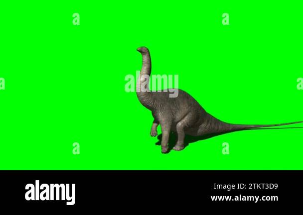 Stegosaurus eating Stock Videos & Footage - HD and 4K Video Clips - Alamy
