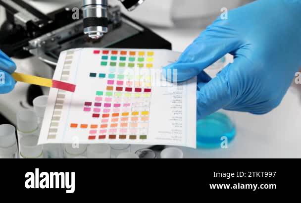 Acidity level indicator Stock Videos & Footage - HD and 4K Video Clips ...