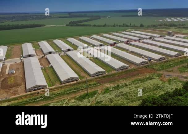 Farm complex buildings Stock Videos & Footage - HD and 4K Video Clips ...