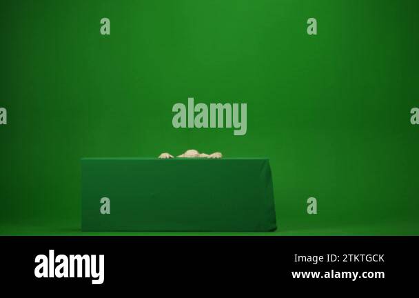 Green screen isolated chroma key video capturing a mummy rising from ...