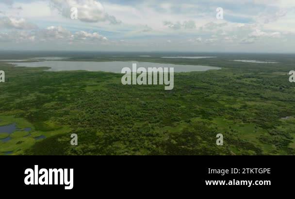 Drone view of Agusan Marsh Wildlife Sanctuary in the Philippines ...