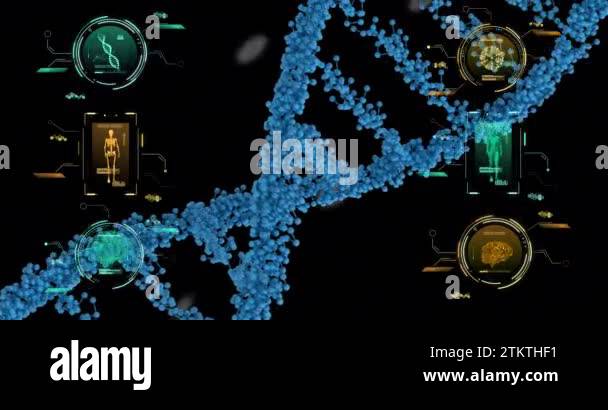 Animation of blue dna strand, human brain and body with scientific data ...