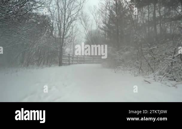 Heavy snow storm at hiking trail, blizzard in the forest path ...