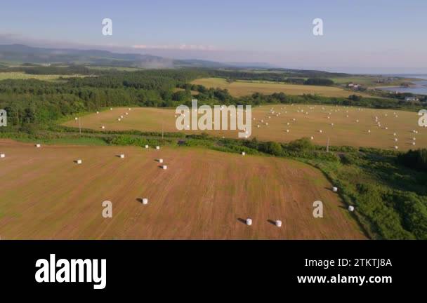Flying over freshly harvested hay bales on coastal farms by Sea of ...