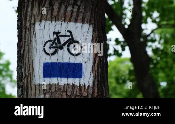 Bicycle route sign on tree in the forest. Blue path cycling road sign ...