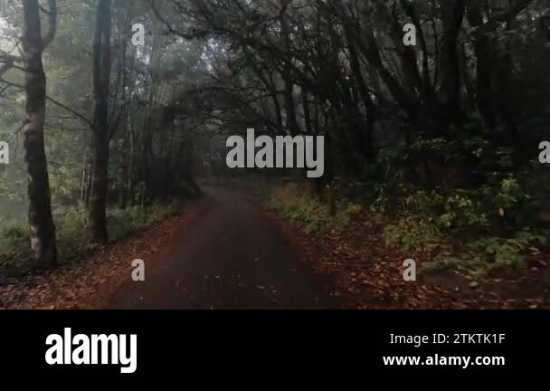 Walk outdoor perspective view Stock Videos & Footage - HD and 4K Video ...