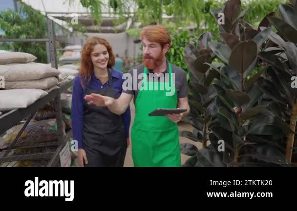 A male staff showing inventory to female colleague at local plant shop ...