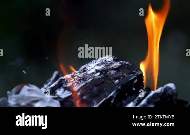 Firewood in flame close up. Fire flames of dying embers, close up Stock ...
