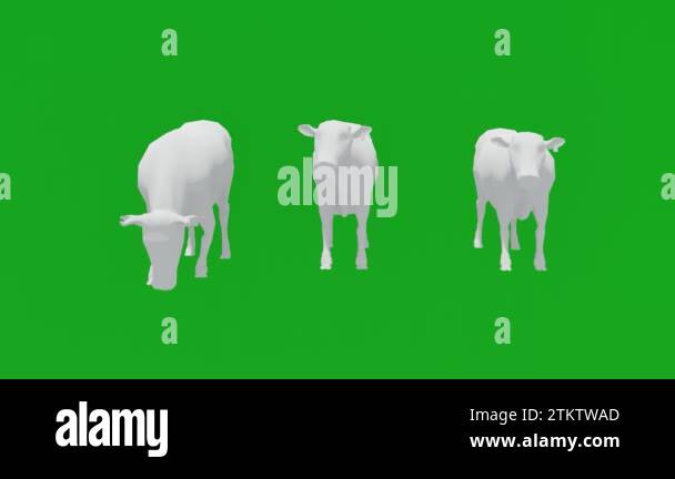 3D animation three white ten milk cows green screen background moving ...