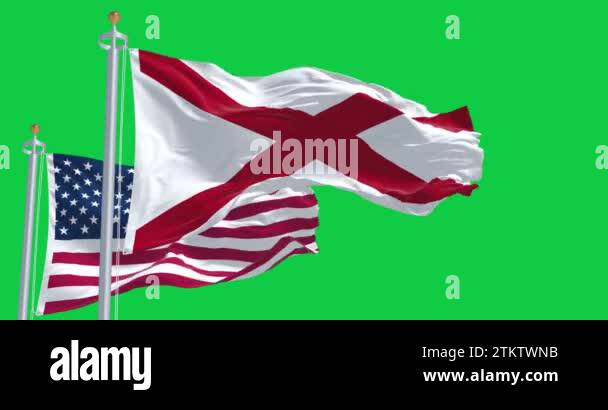 Argentina national flag waving on green screen. Threel blue and white ...