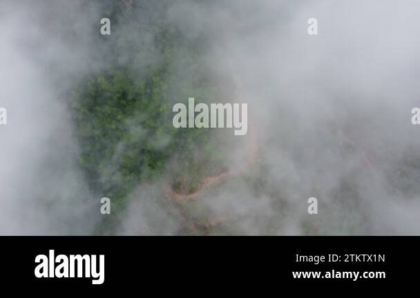 Forest tree hill in clouds Stock Videos & Footage - HD and 4K Video ...