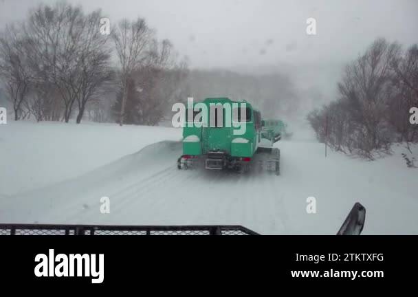 Forest rime zao in Stock Videos & Footage - HD and 4K Video Clips - Alamy