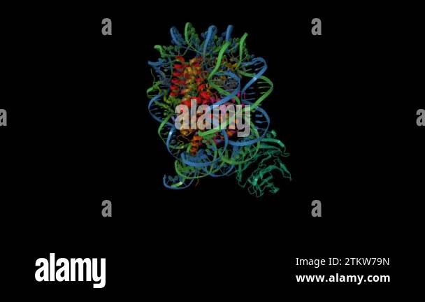 Nucleosome structure Stock Videos & Footage - HD and 4K Video Clips - Alamy