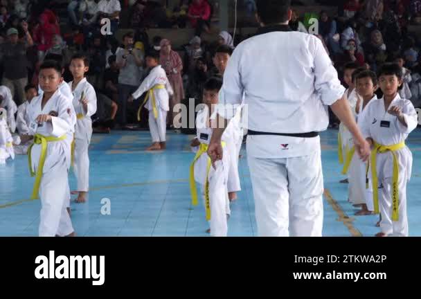 Respect for rank Stock Videos & Footage - HD and 4K Video Clips - Alamy