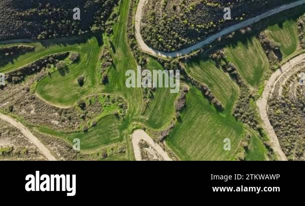 Serpentine lines in the forest Stock Videos & Footage - HD and 4K Video ...