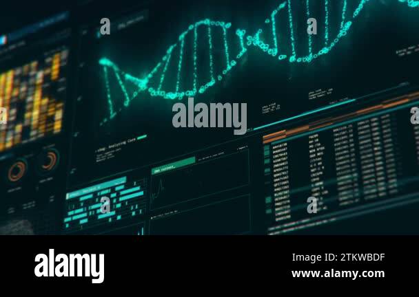 Human family tree chart Stock Videos & Footage - HD and 4K Video Clips ...