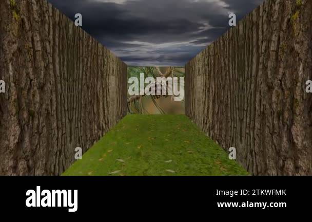 Seamlessly looping animation of a camera moving forward toward Stock ...