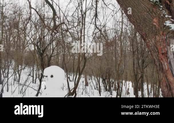 snowman under a tree in a clearing in the forest in the snow, side view ...