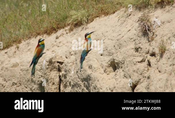Land cliff Stock Videos & Footage - HD and 4K Video Clips - Alamy