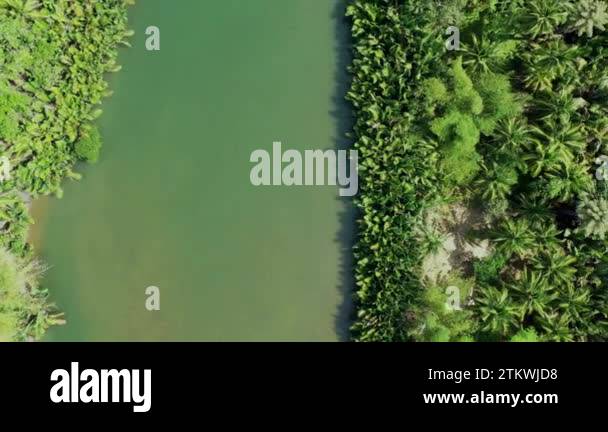 River area view Busuanga in the Philippines Stock Video Footage - Alamy