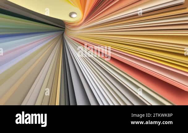 The graphic designer chooses colors from the color palette guide ...