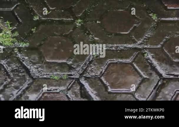 Block paving yard Stock Videos & Footage - HD and 4K Video Clips - Alamy