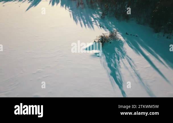 Sled rides Stock Videos & Footage - HD and 4K Video Clips - Alamy