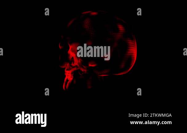 A human skull with red flashes rotates on a black background. Skull ...