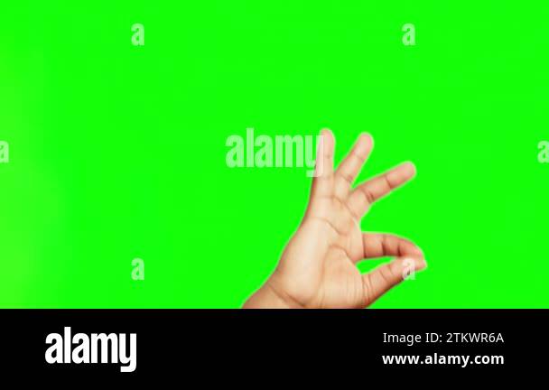 Hands, okay sign and perfect in success on green screen for good job ...