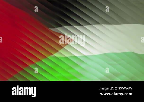 Palestine colors Stock Videos & Footage - HD and 4K Video Clips - Alamy