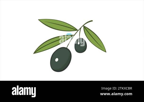 Branch of olive with green leaves. Delicious fruit for seasoning and ...