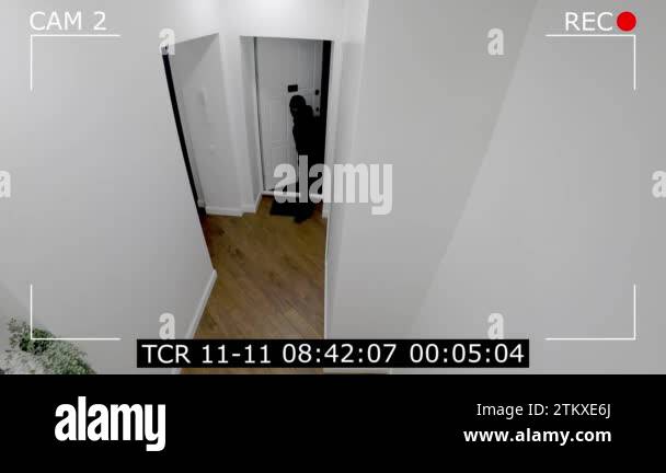 Thief capture Stock Videos & Footage - HD and 4K Video Clips - Alamy