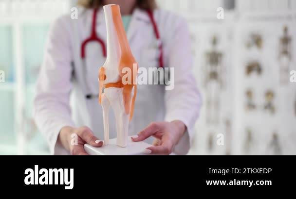 Doctor shows anatomical model of knee and tendon closeup. Surgical ...