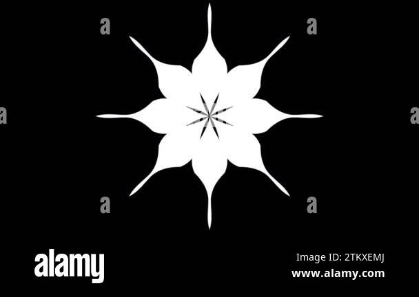 Seamless pattern loop animation, black and white background loop ...