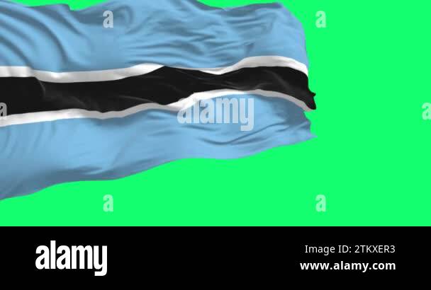 Argentina national flag waving on green screen. Threel blue and white ...
