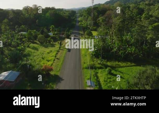 Urban rainforest Stock Videos & Footage - HD and 4K Video Clips - Alamy