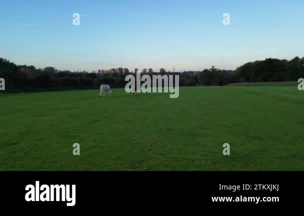 Northampton park Stock Videos & Footage - HD and 4K Video Clips - Alamy